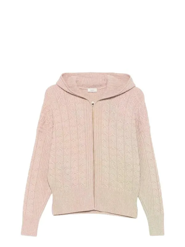 Agnona Cashmere Zip Hoodie - Pink