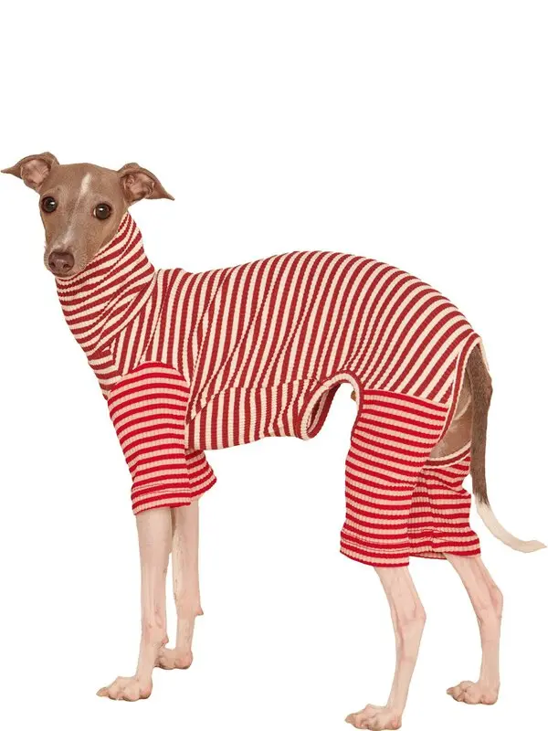 LITTLE BEAST Stretch-cotton Dog Onesie - Stripe