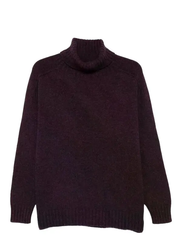 Eric Bompard Raglan-sleeve Roll-neck Sweater - Purple