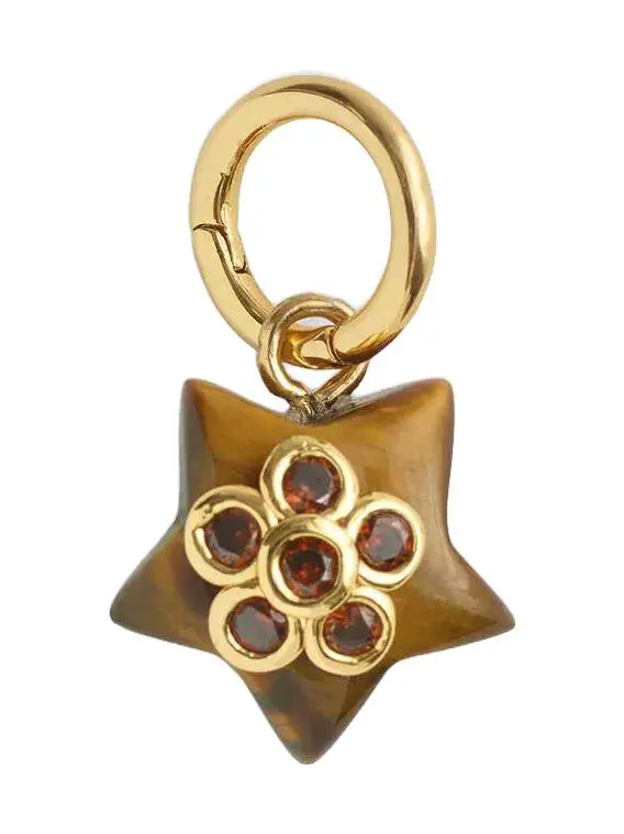 Madewell Star Charm - Tigers Eye