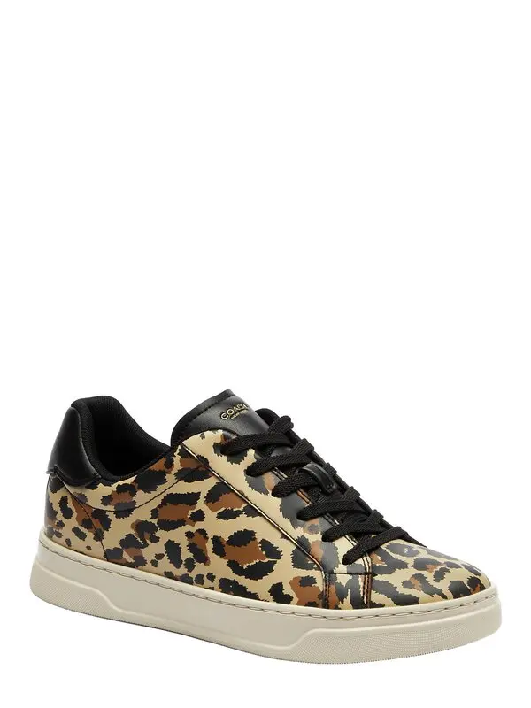 COACH OUTLET Coach High Line Leopard Print Leather Sneakers - Black/leopard
