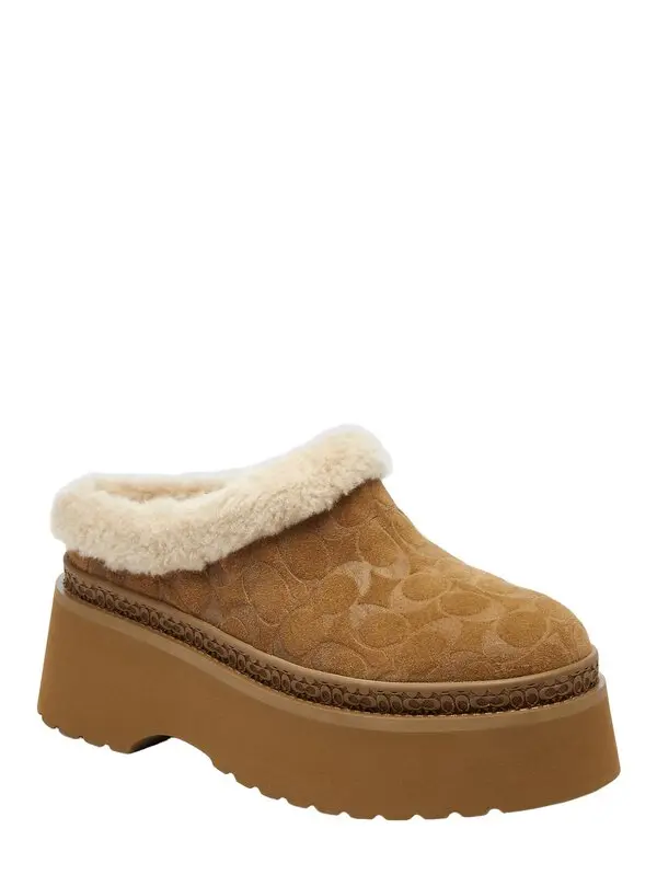 Coach Cecelia Clog In Signature Suede - Tobacco