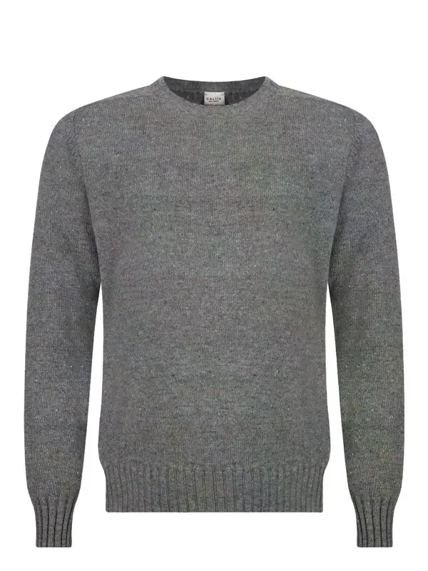 GALLIA Crew-neck Wool Sweater - Grey