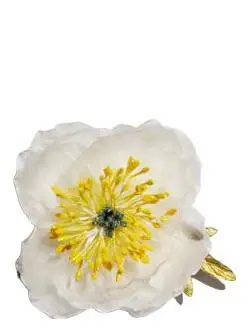 HELENA SIMON Poppy Floral Brooch - White