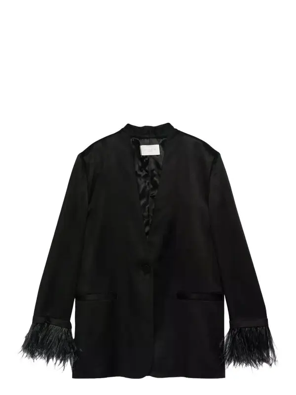Montedoro Feather-trim Single-button Blazer - Black