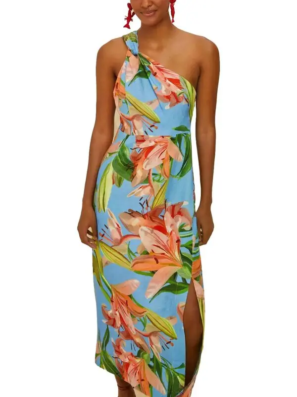 Farm Rio Floral-print Midi Dress - Blue
