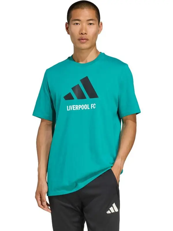Adidas Liverpool Fc Seasonal Graphic Tee - Sea Green