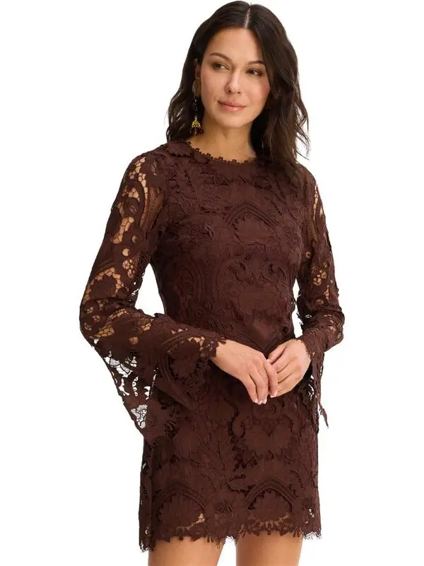 Allison Daisey Lace Dress - Brown