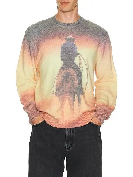 ONE OF THESE DAYS But That Was A Dream Knit Sweater - Multi