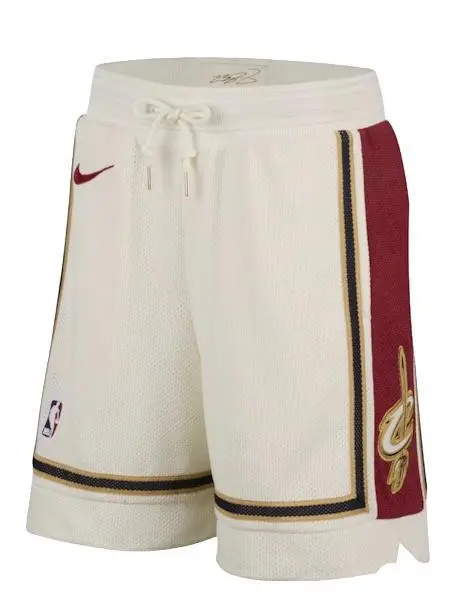 Nike Lebron James Drifit Nba Shorts - Multicolor
