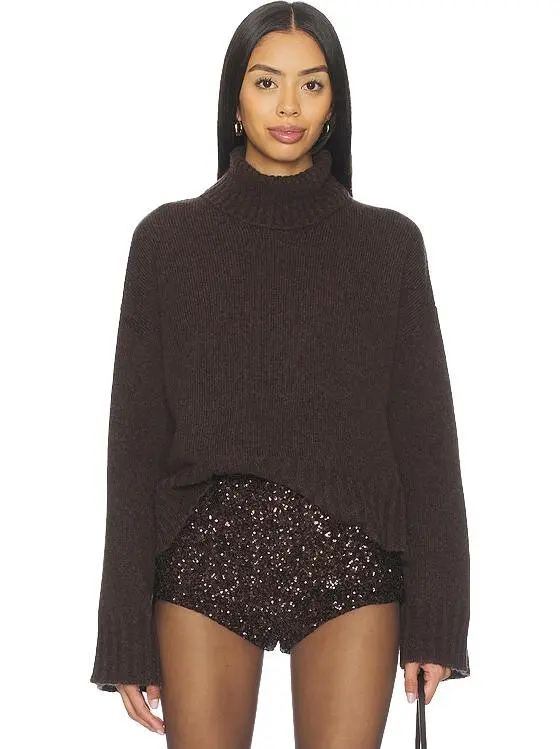 ANIYE BY Chris Turtleneck Sweater - Moka