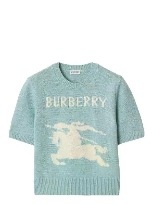 Burberry Short-sleeve Crew Neck Sweater - Blue