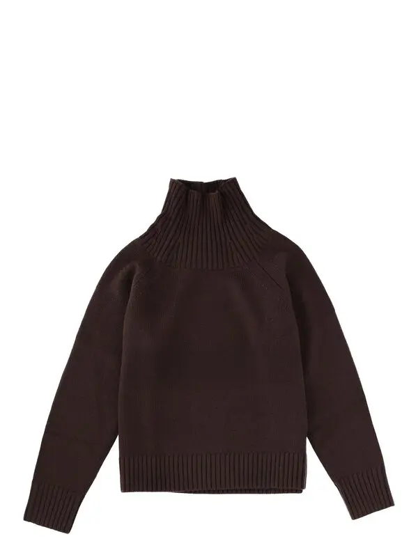 Michael Kors Turtleneck Sweater - Brown