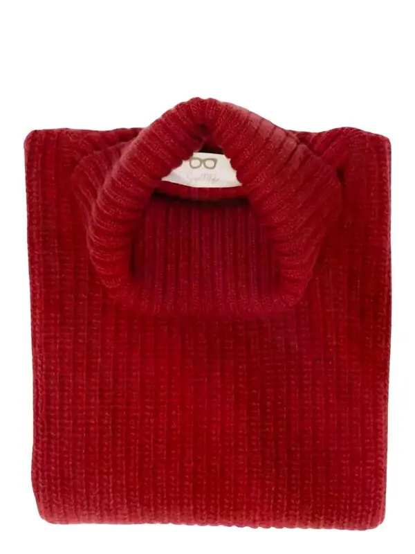 DAVANTINO Roll-neck Wool Top - Red