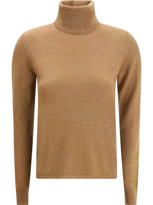 Max Mara Educata Turtleneck Sweater - Brown