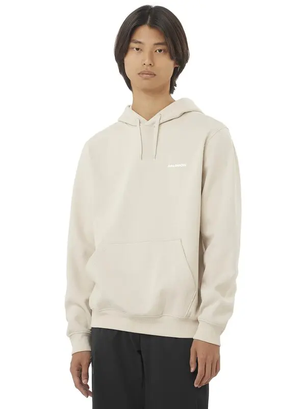 SALOMON Chest Logo Hoodie - Rainy Day