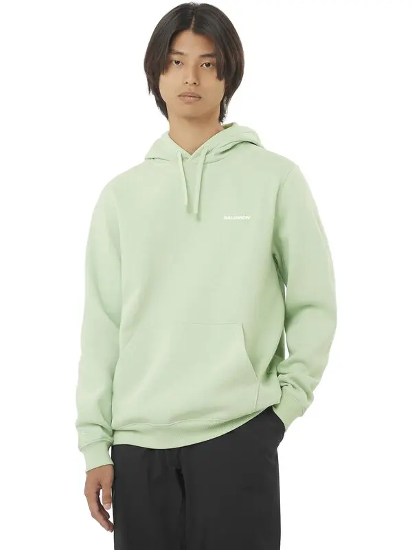 SALOMON Chest Logo Hoodie - Sea Foam