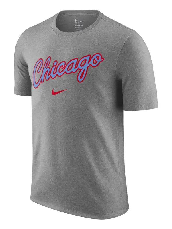Nike Chicago Bulls Essential City Edition Nba T-shirt - Grey