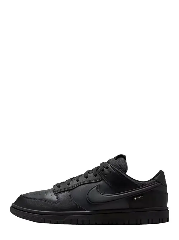 Nike Gore-tex Dunk Low-top Sneakers - Black