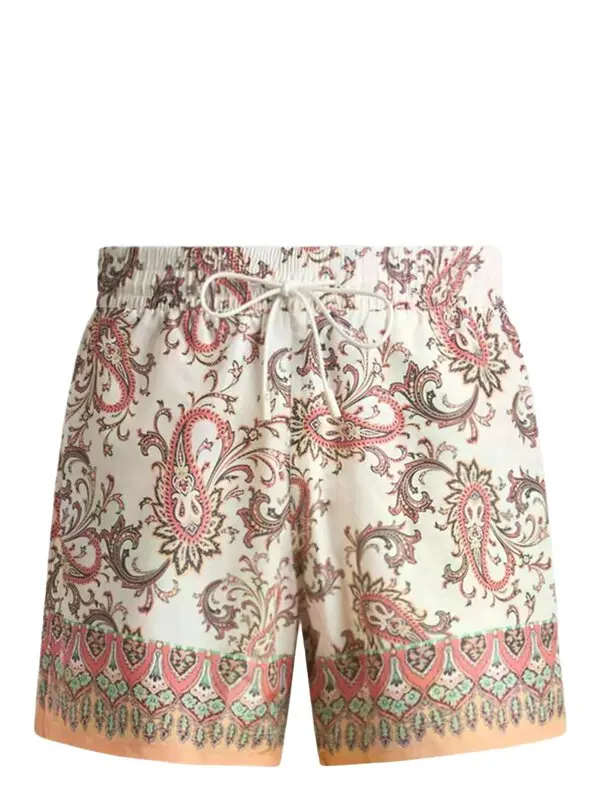 Etro Paisley Print Swim Shorts - Neutrals