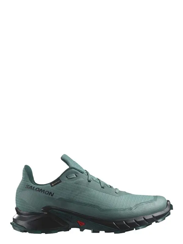 SALOMON Alphacross 5 Gore-tex - Green