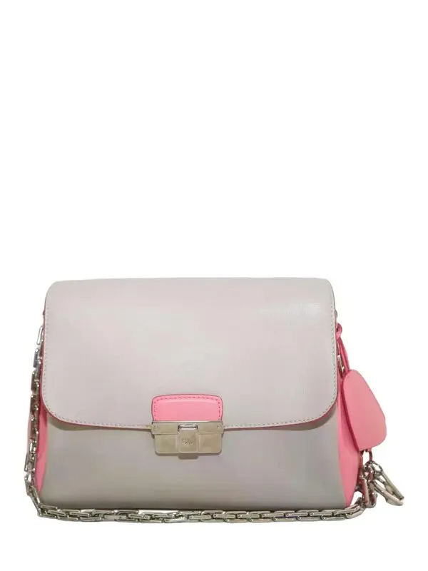 Dior Diorling Shoulder Bag - Neutrals