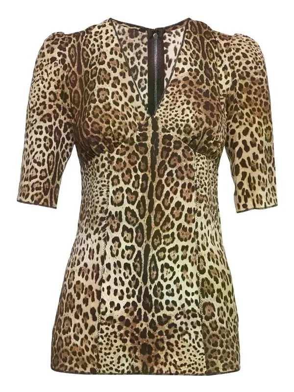 Dolce & Gabbana Leopard-print V-neck Top - Brown