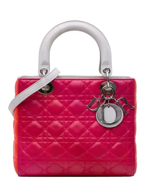 Dior Lady Satchel - Pink