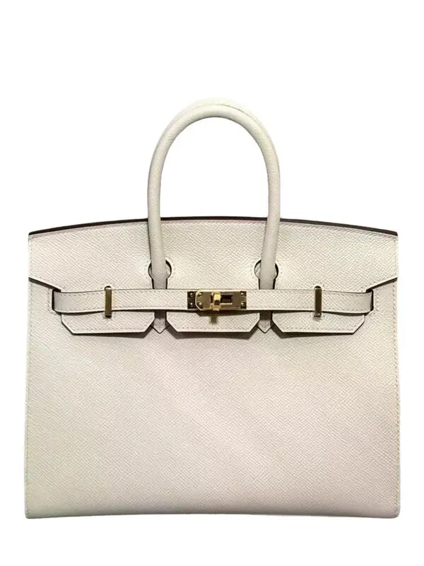 Hermès 2025 Birkin 25 Togo Gold Hardware Handbag - Neutrals