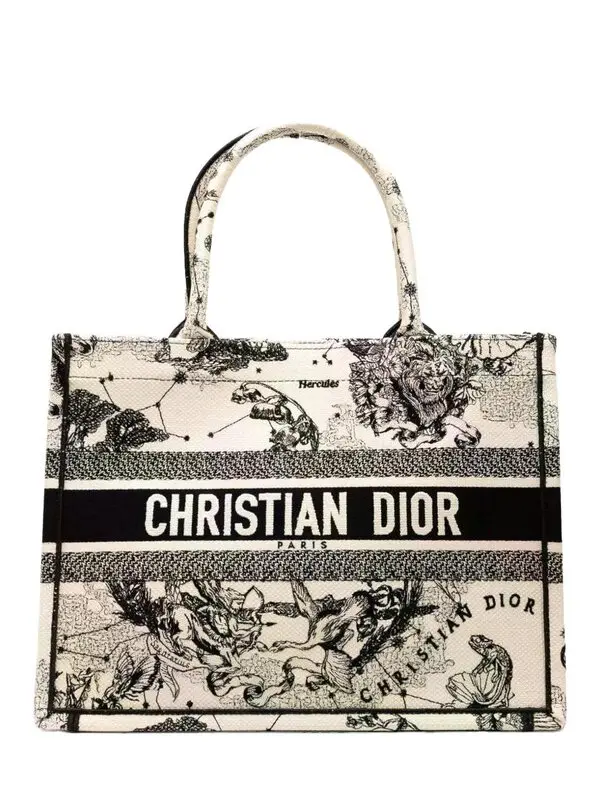 Dior 2023 Medium Canvas Embroidered Zodiac Toile De Jouy Book Tote Bag - White