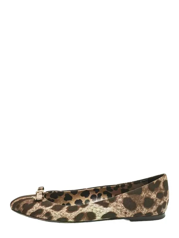 Dolce & Gabbana Leopard-print Ballet Flats - Brown