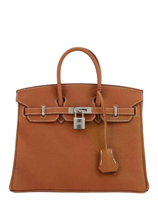 Hermès 2024 Birkin 25 Handbag - Brown