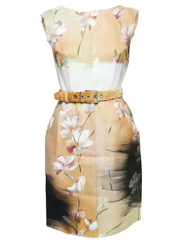 Dolce & Gabbana Floral-print Dress - Neutrals