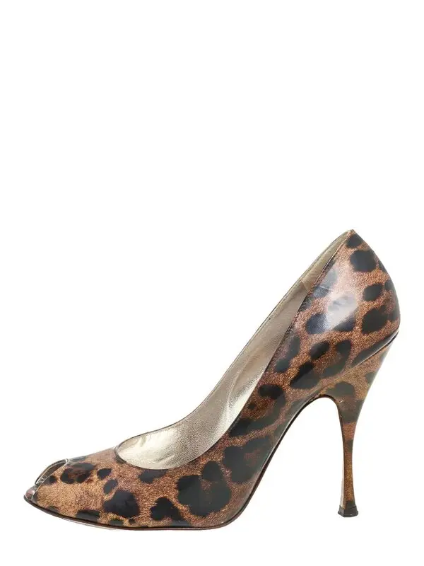 Dolce & Gabbana 115mm Leopard-print Pumps - Brown