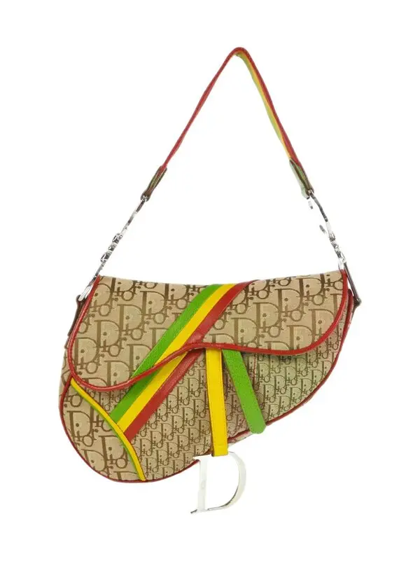 Dior Pre-owned 2004 Rasta Oblique Saddle Bag - Neutrals