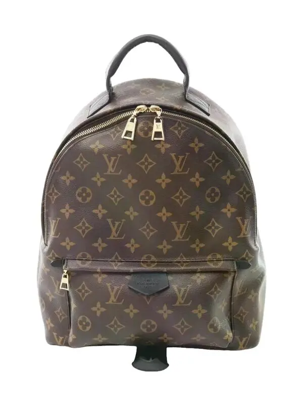 LOUIS VUITTON 2020 Palm Springs Mm Backpack - Brown