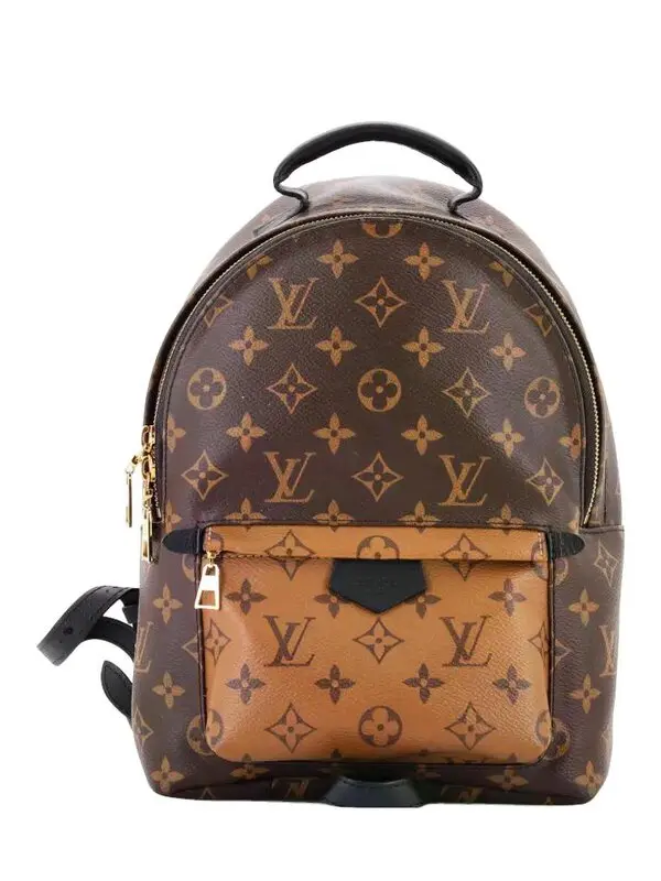 LOUIS VUITTON Palm Springs Monogram Canvas Pm Backpack - Brown