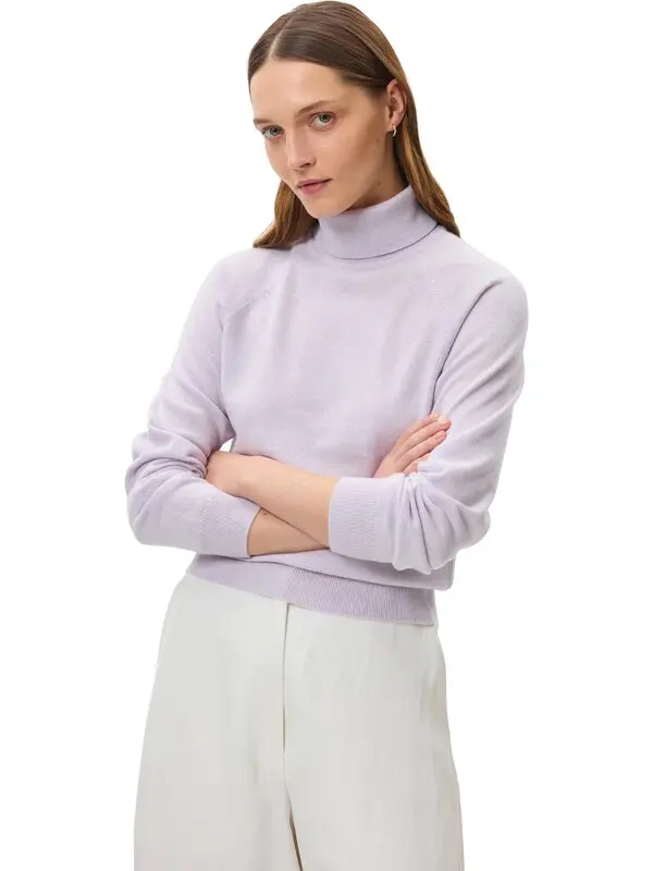 Johnstons Of Elgin Classic Cashmere Roll Neck Jumper - Purple