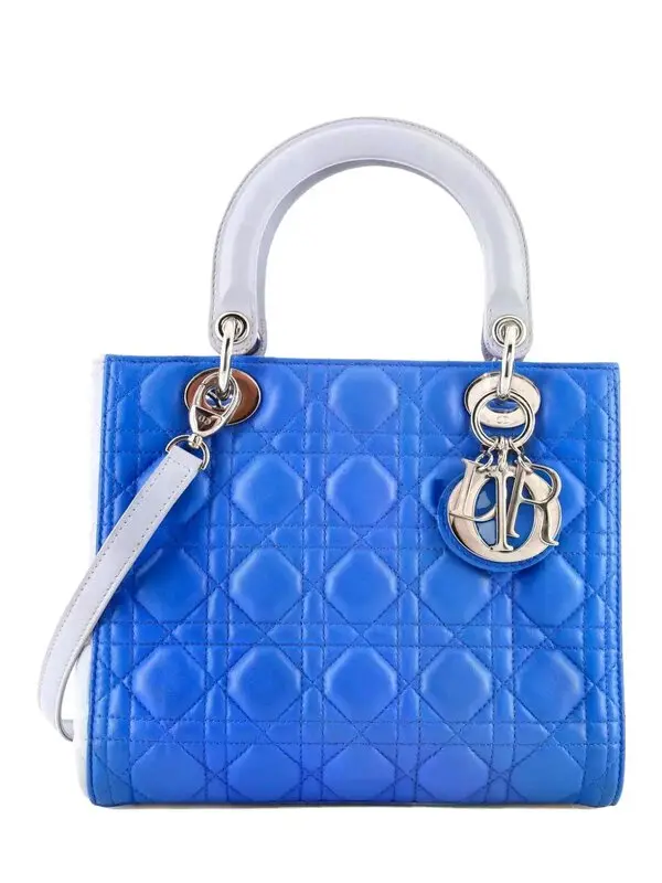 Dior Pre-owned Bicolor Lady Bag - Blue