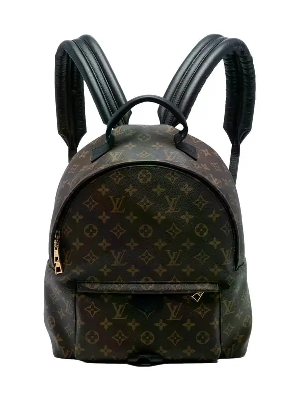 LOUIS VUITTON Monogram Palm Springs Mm Backpack - Brown