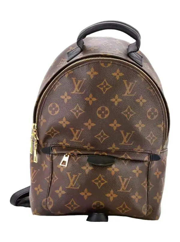 LOUIS VUITTON Palm Springs Monogram Canvas Pm Backpack - Brown