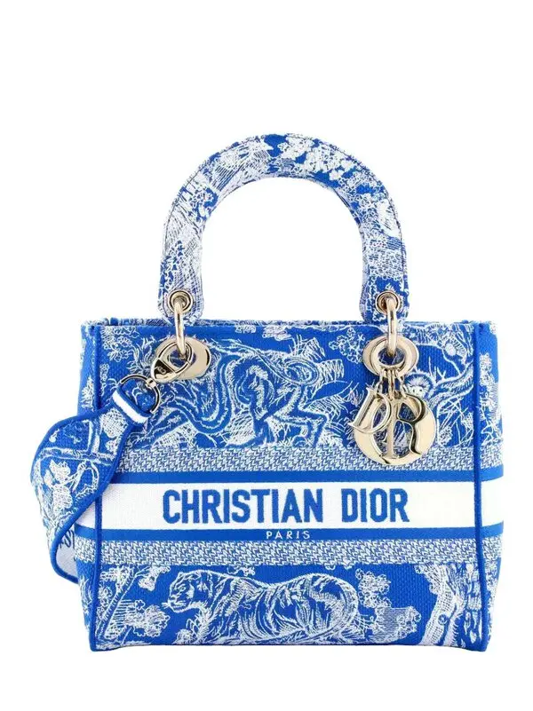 Dior Lady D-lite Embroidered Canvas Satchel - Blue