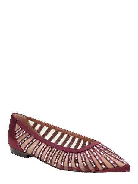 Linea Paolo Noelle Pointed Toe Flat - Dark Burgundy
