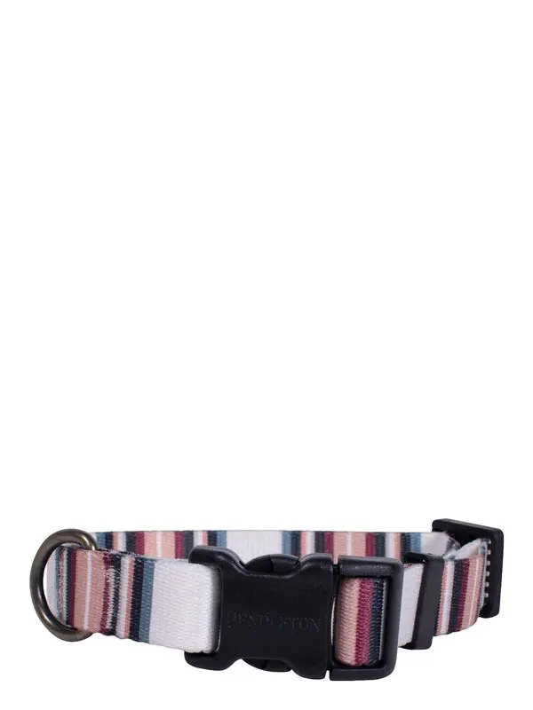 Pendleton Adventure Dog Collar - Serape Rosewood