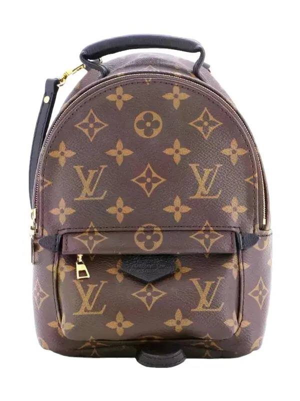 LOUIS VUITTON Palm Springs Monogram Canvas Mini Backpack - Brown