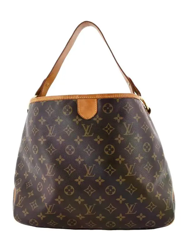 LOUIS VUITTON Delightful Handbag Monogram Canvas Pm Hobo Bag - Brown