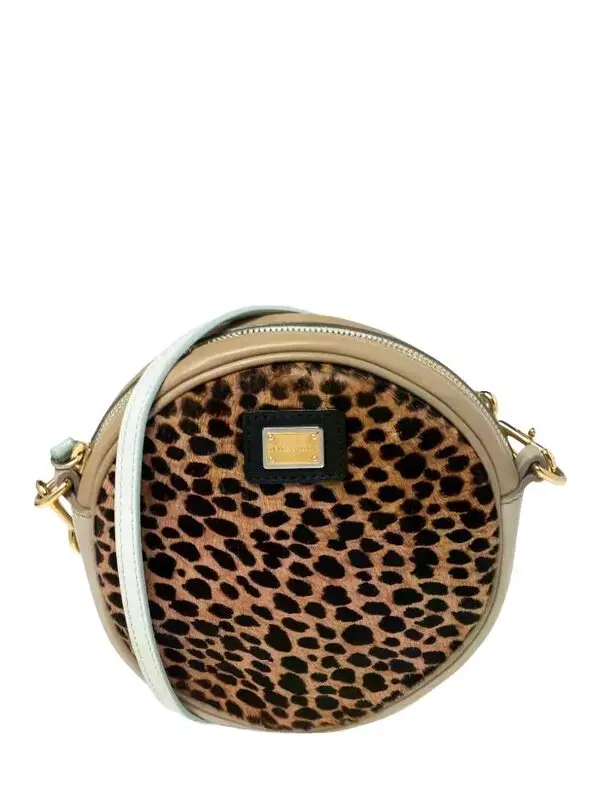 Dolce & Gabbana Leo Crepe Glam Shoulder Bag - Brown
