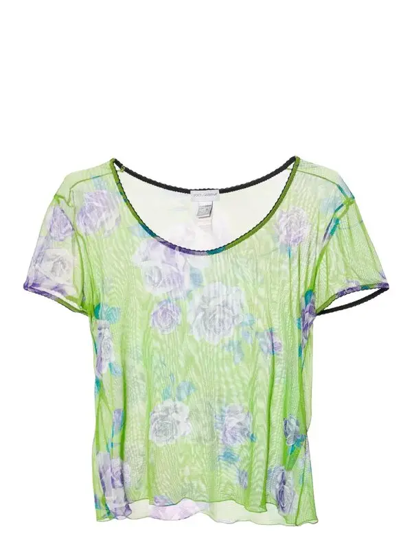 Dolce & Gabbana Rose-print Mesh T-shirt - Green
