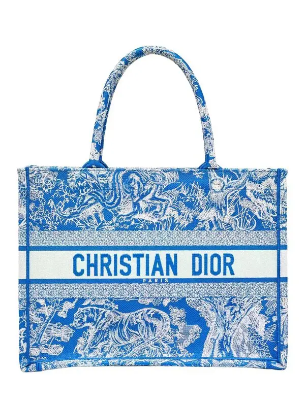 Dior 2024 Book Tote Bag - Blue