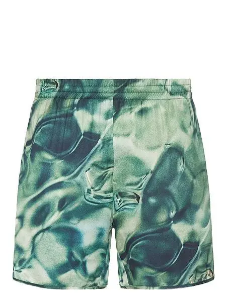 BLUE SKY INN Printed Shorts - Green